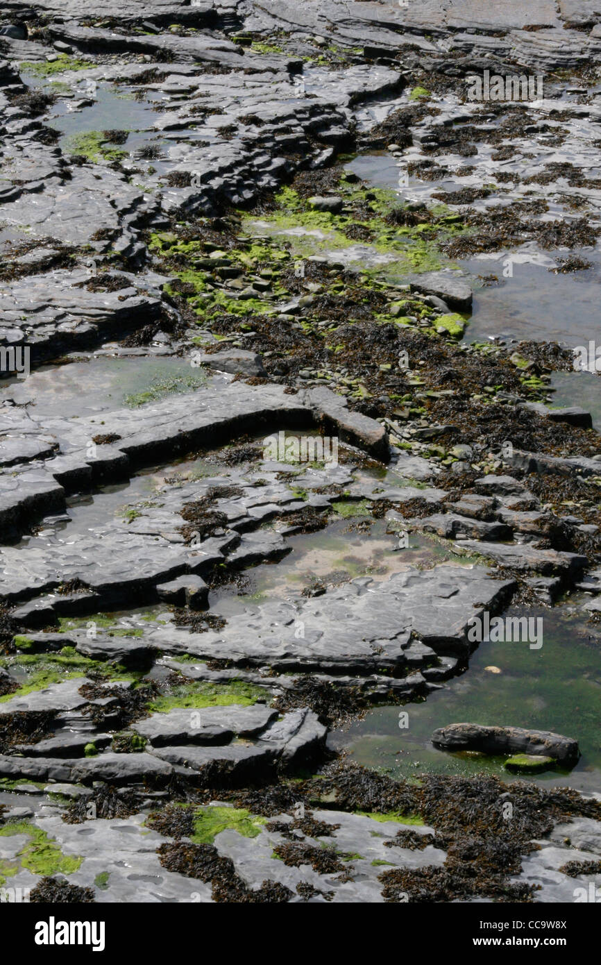 Patterns in the slate on the beach by the pier on Aberystwyth seafront ...