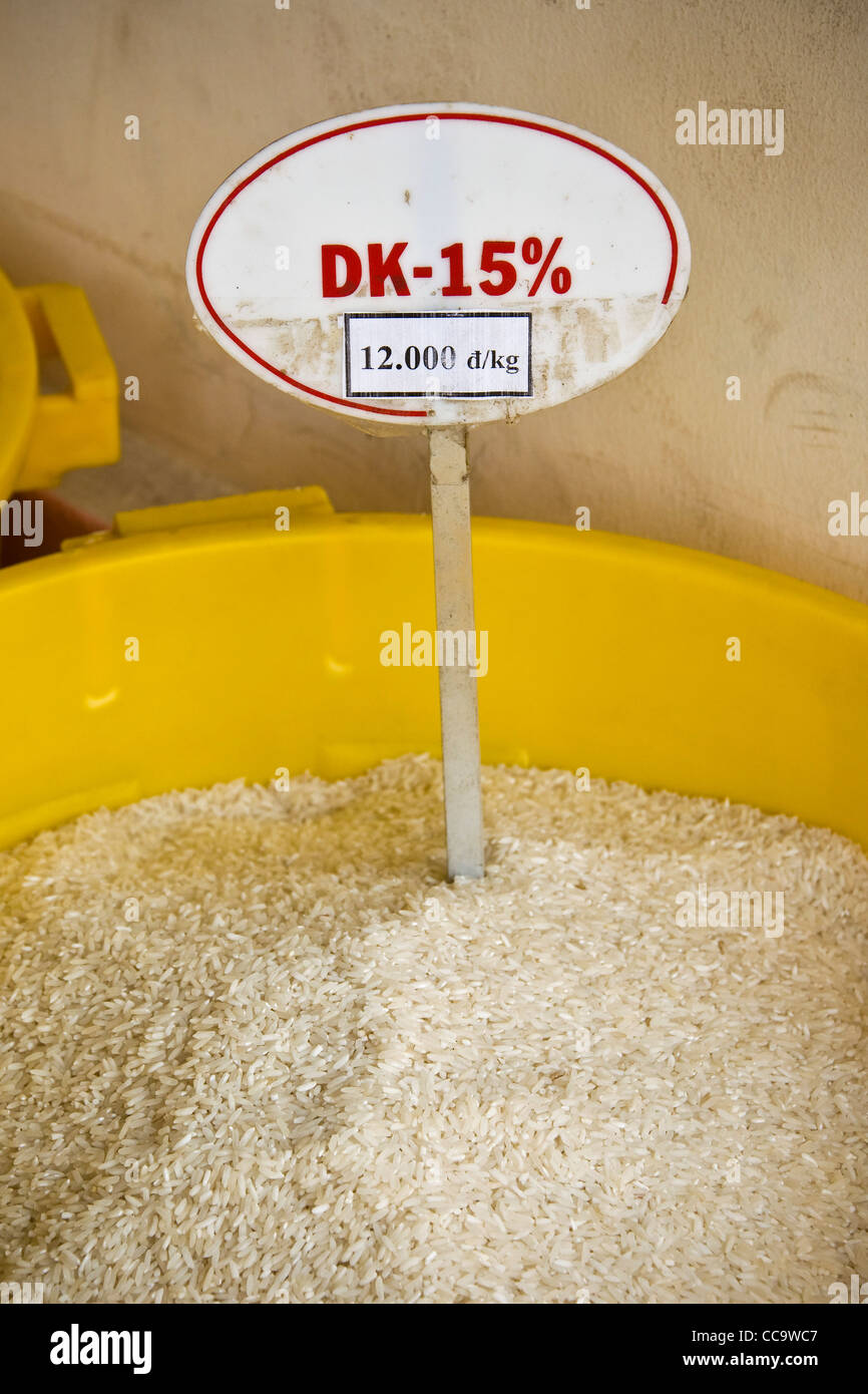Rice, Mekong delta, Vietnam Stock Photo - Alamy