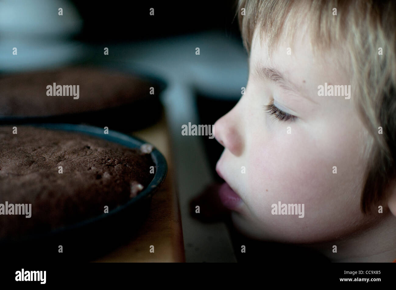 child smelling, looking at a chocolate cake straight out of the oven ...
