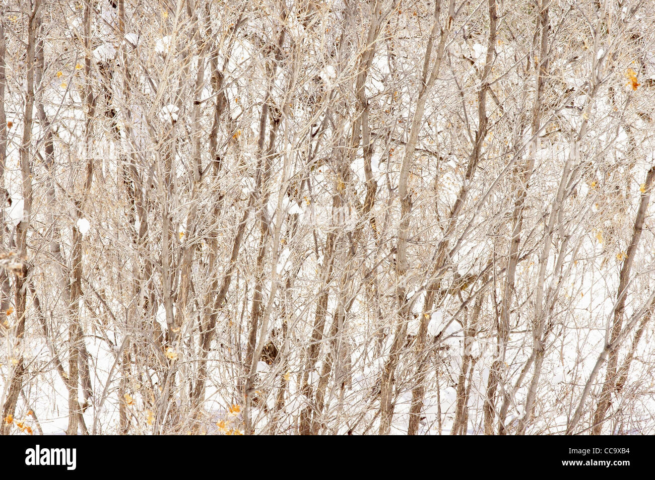 Colors and patterns hi-res stock photography and images - Alamy