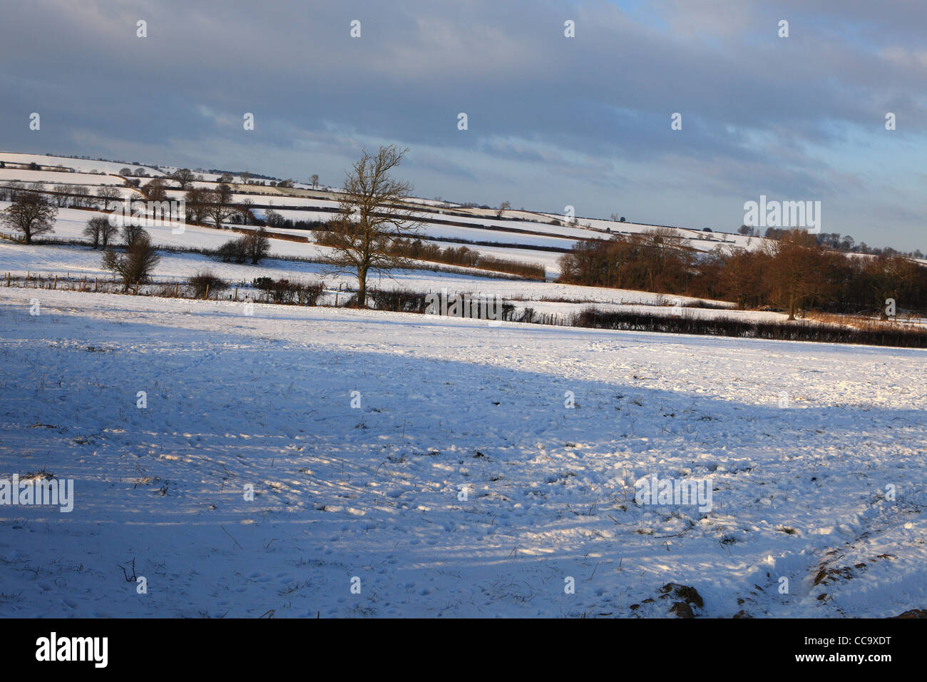 Winter fields covered in snow Stock Photo - Alamy