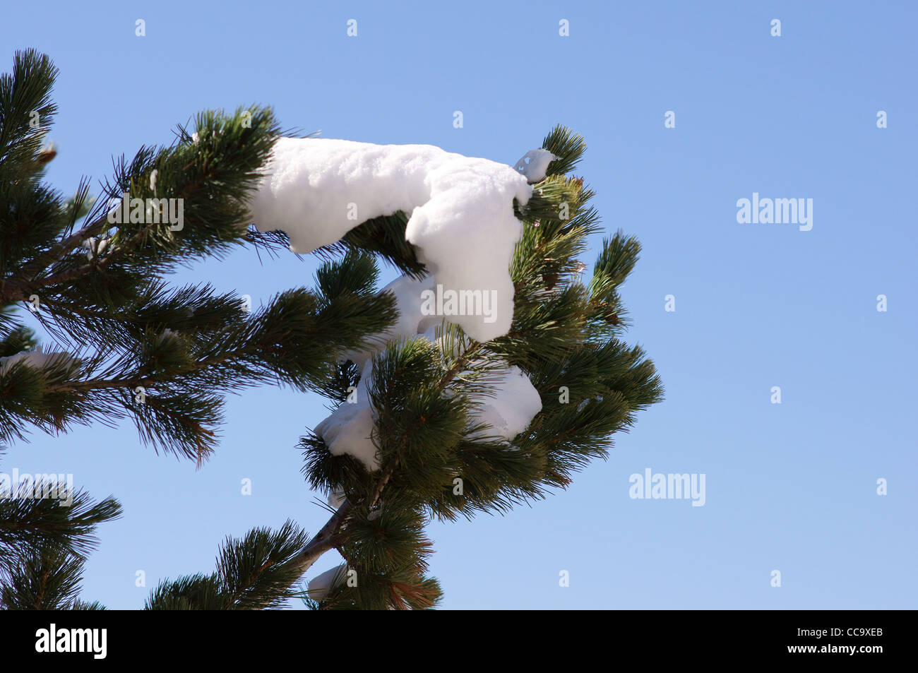 Excellent display background hi-res stock photography and images - Alamy