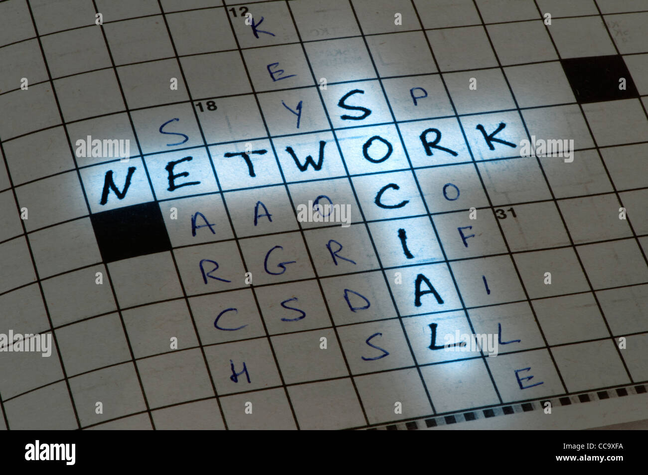 Social network conception text in crossword puzzle Stock Photo - Alamy
