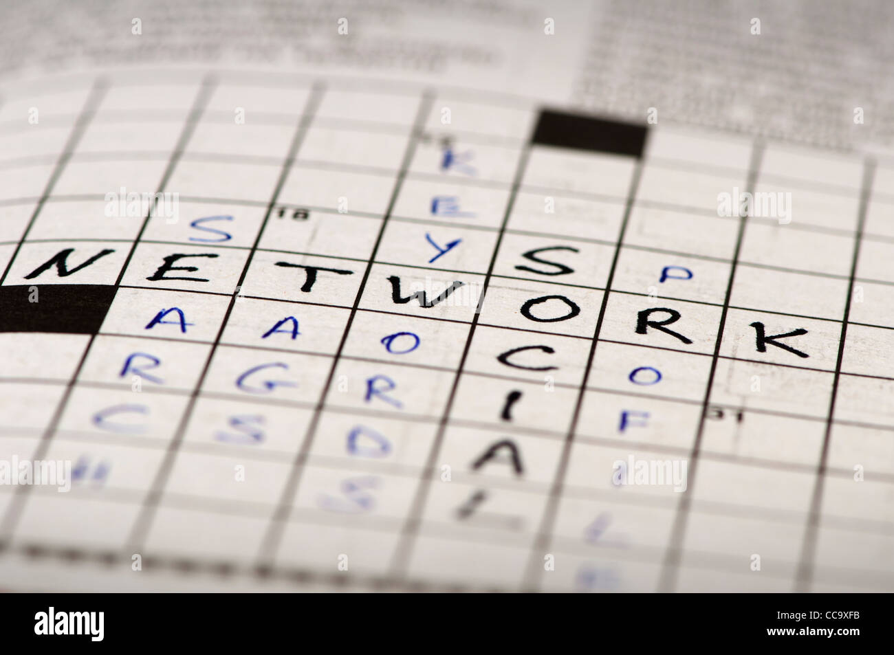 Social network conception text in crossword puzzle Stock Photo - Alamy
