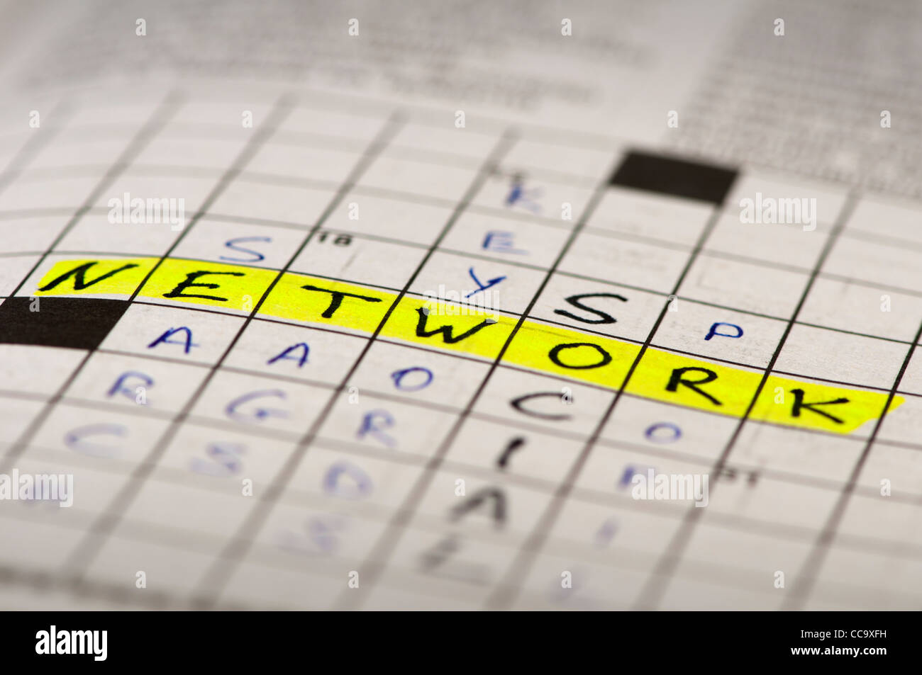 Social network conception text in crossword puzzle Stock Photo - Alamy