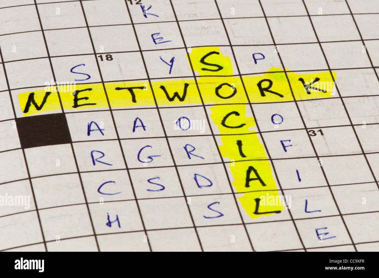 Social network conception text in crossword puzzle Stock Photo - Alamy