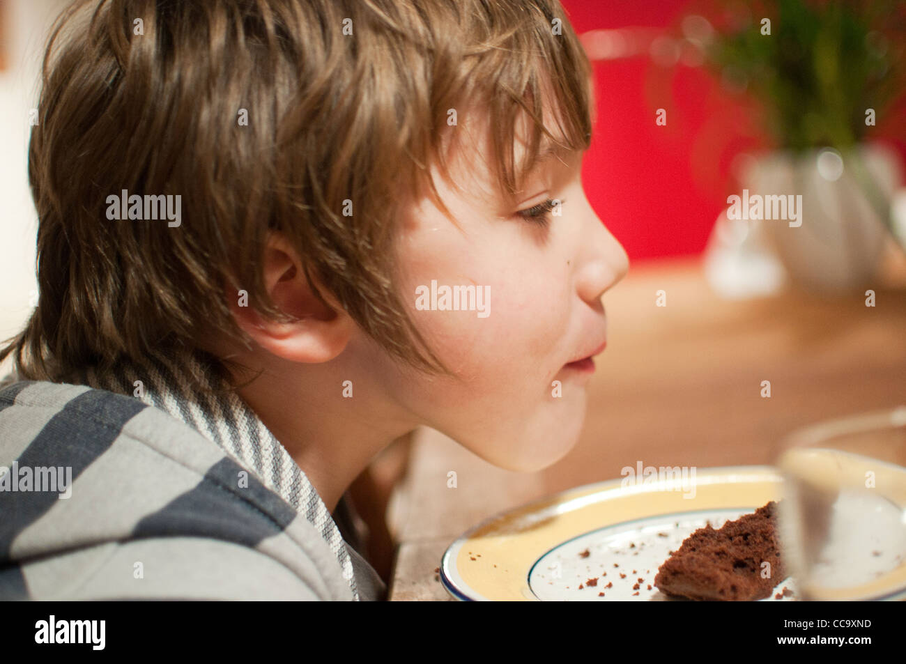 Eating sponge hi-res stock photography and images - Alamy