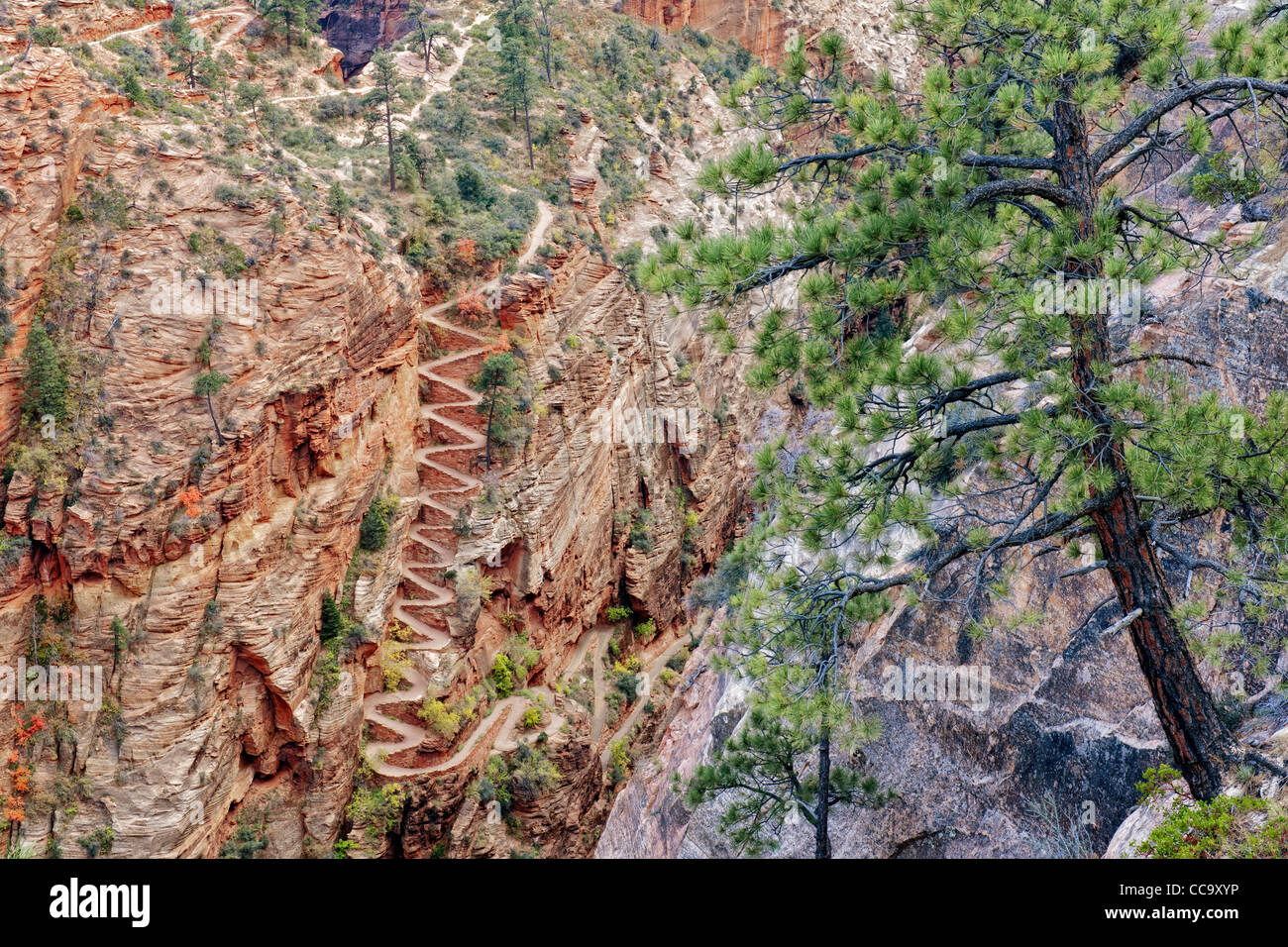 Walters wiggles switchbacks angels landing hi-res stock photography and ...