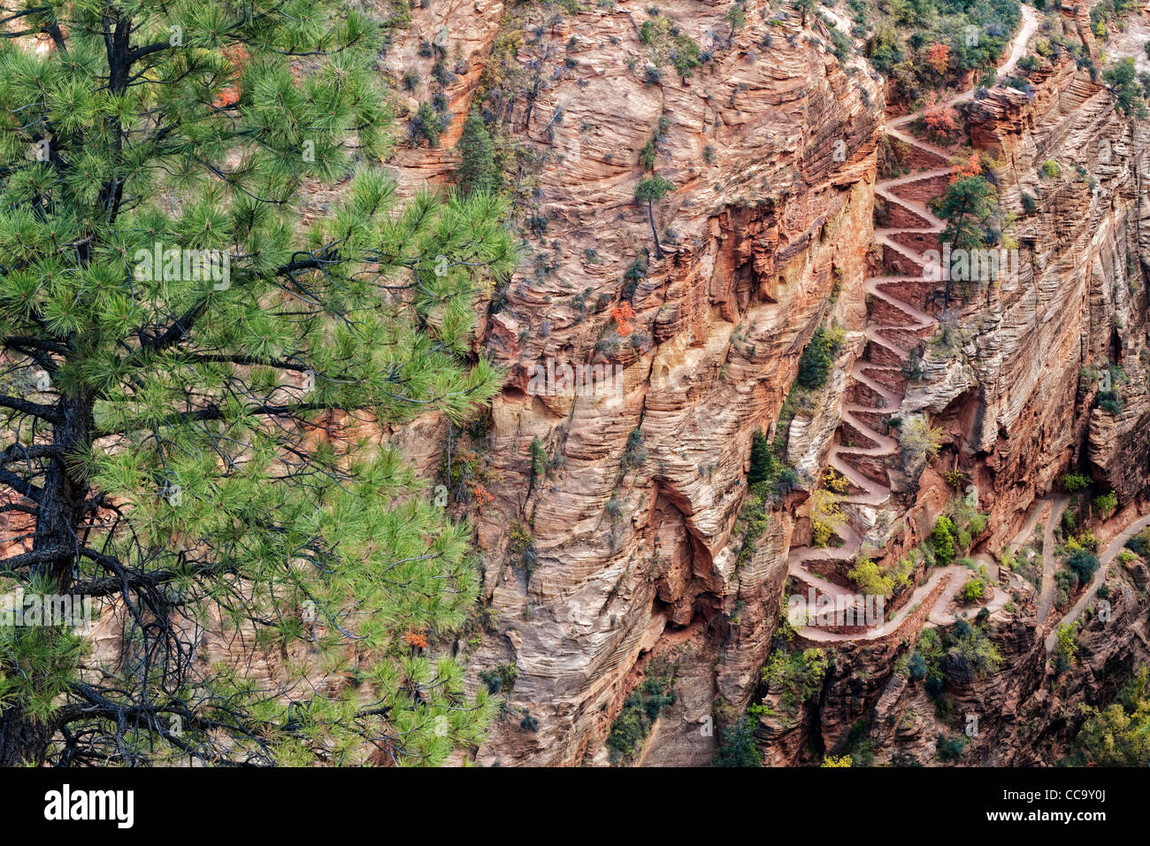 Switchbacks named Walter’s Wiggles take hikers to Scout Lookout and the ...