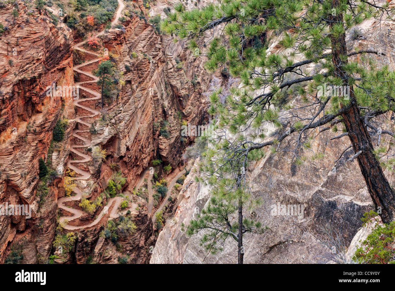 Angel's landing walters wiggles High Resolution Stock Photography and ...