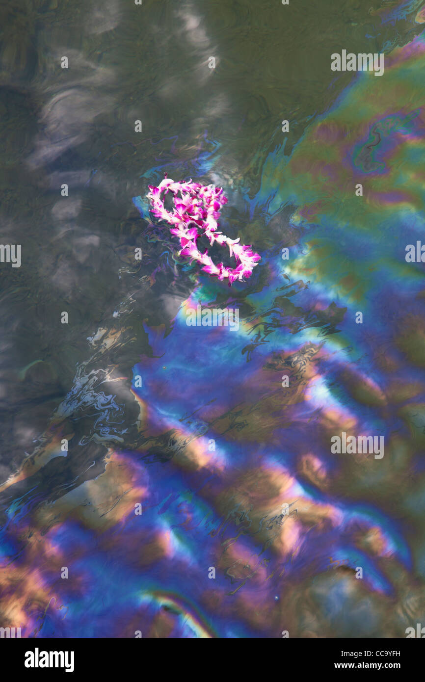 Oil coming up from the USS Arizona at the USS Arizona Memorial, Pearl ...