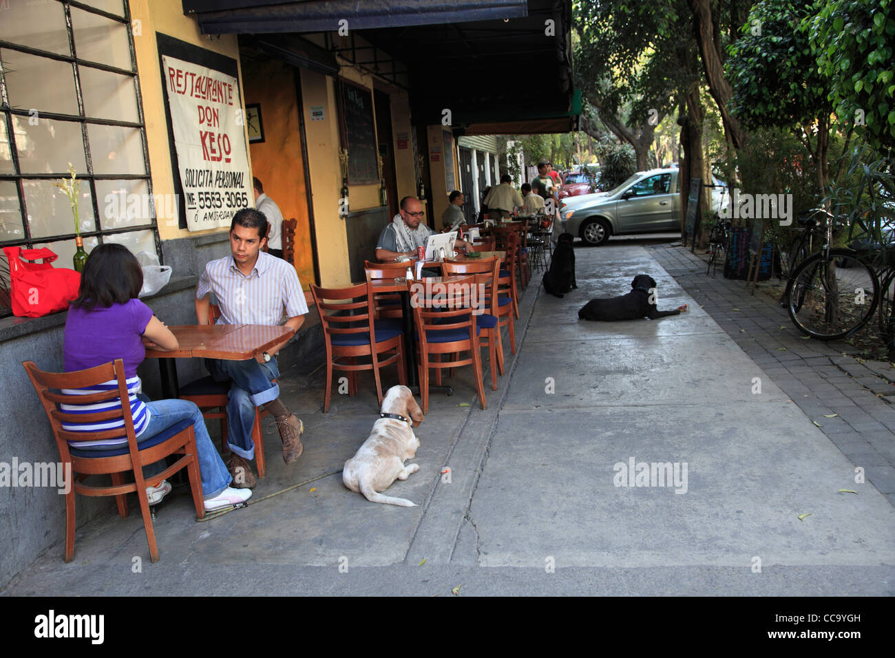 Cafe, Colonia Condesa, La Condesa, trendy neighborhood, Mexico City ...