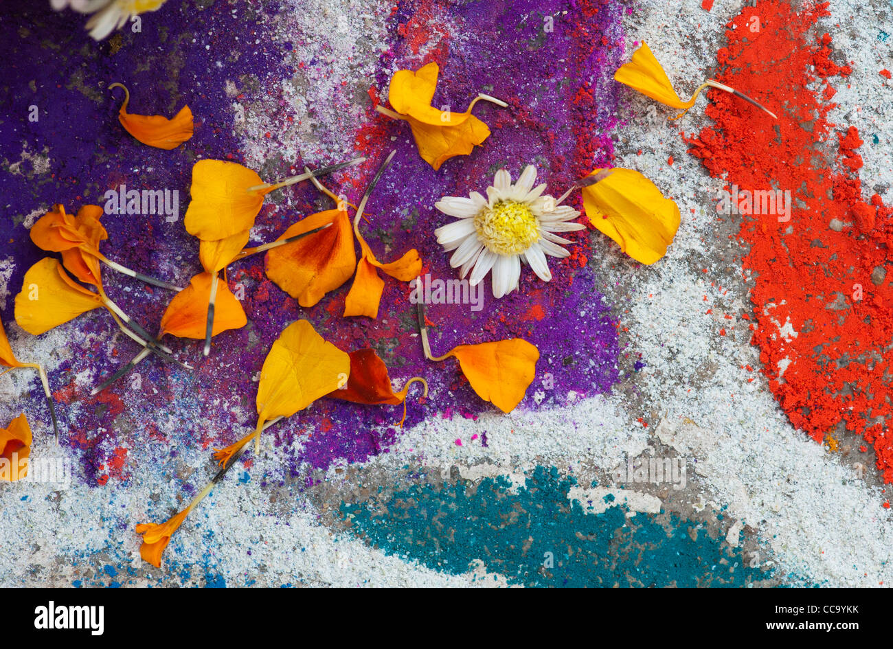 Rangoli festival coloured powder design with flower and petals in an ...