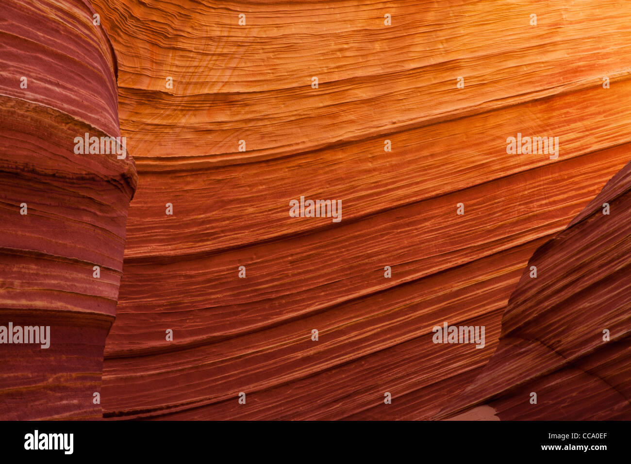 Close-up of brightly colored Navajo Sandstone at The Wave (Coyote ...