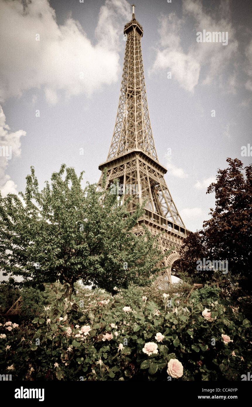 The Eiffel Tower and rose garden, Paris, France Stock Photo - Alamy