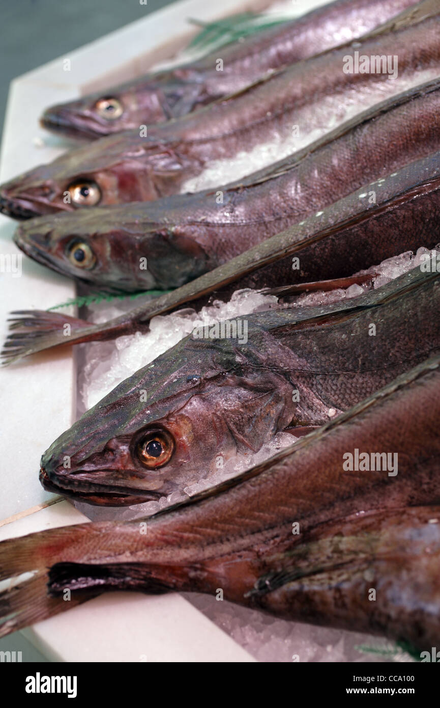 Raw hake hi-res stock photography and images - Alamy