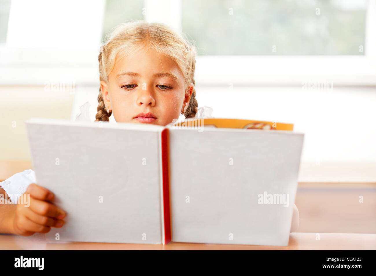 Image of smart child reading interesting book in classroom. Horizontal ...