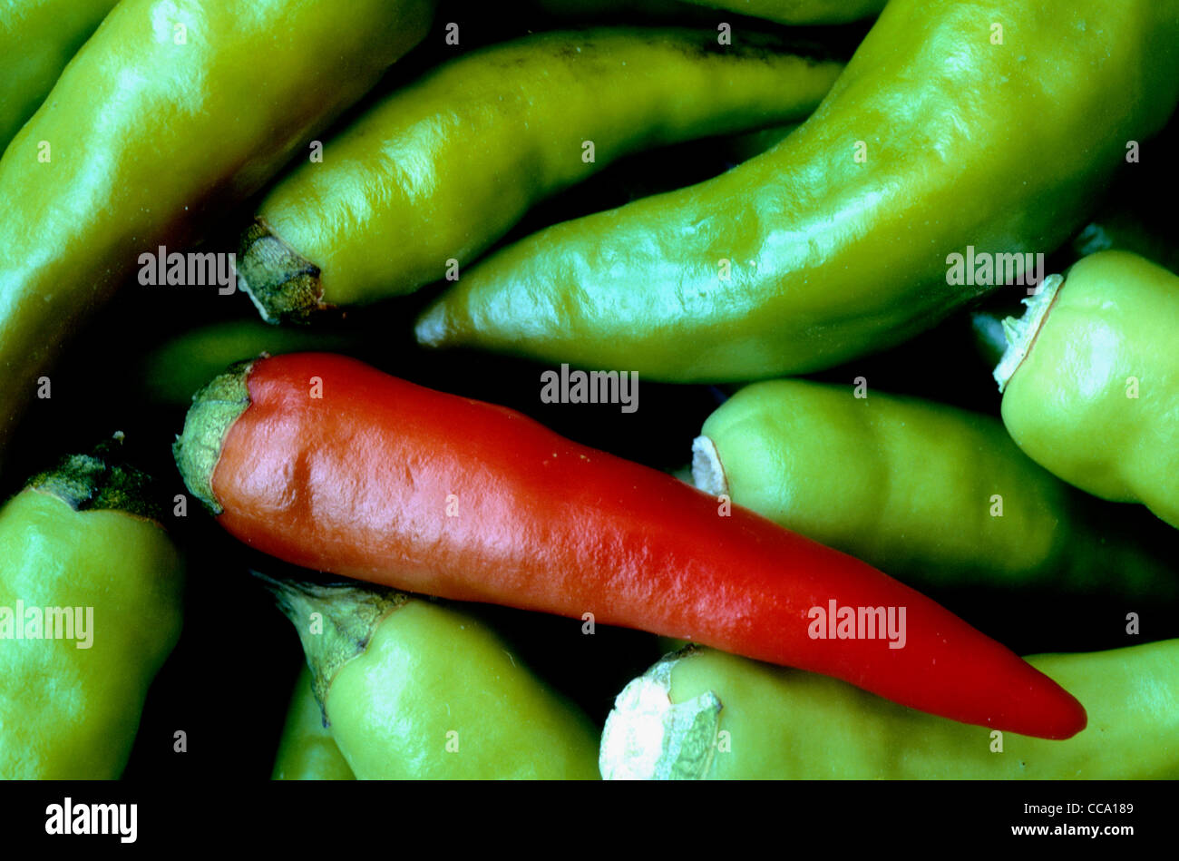 One red and many green peppers hi-res stock photography and images - Alamy