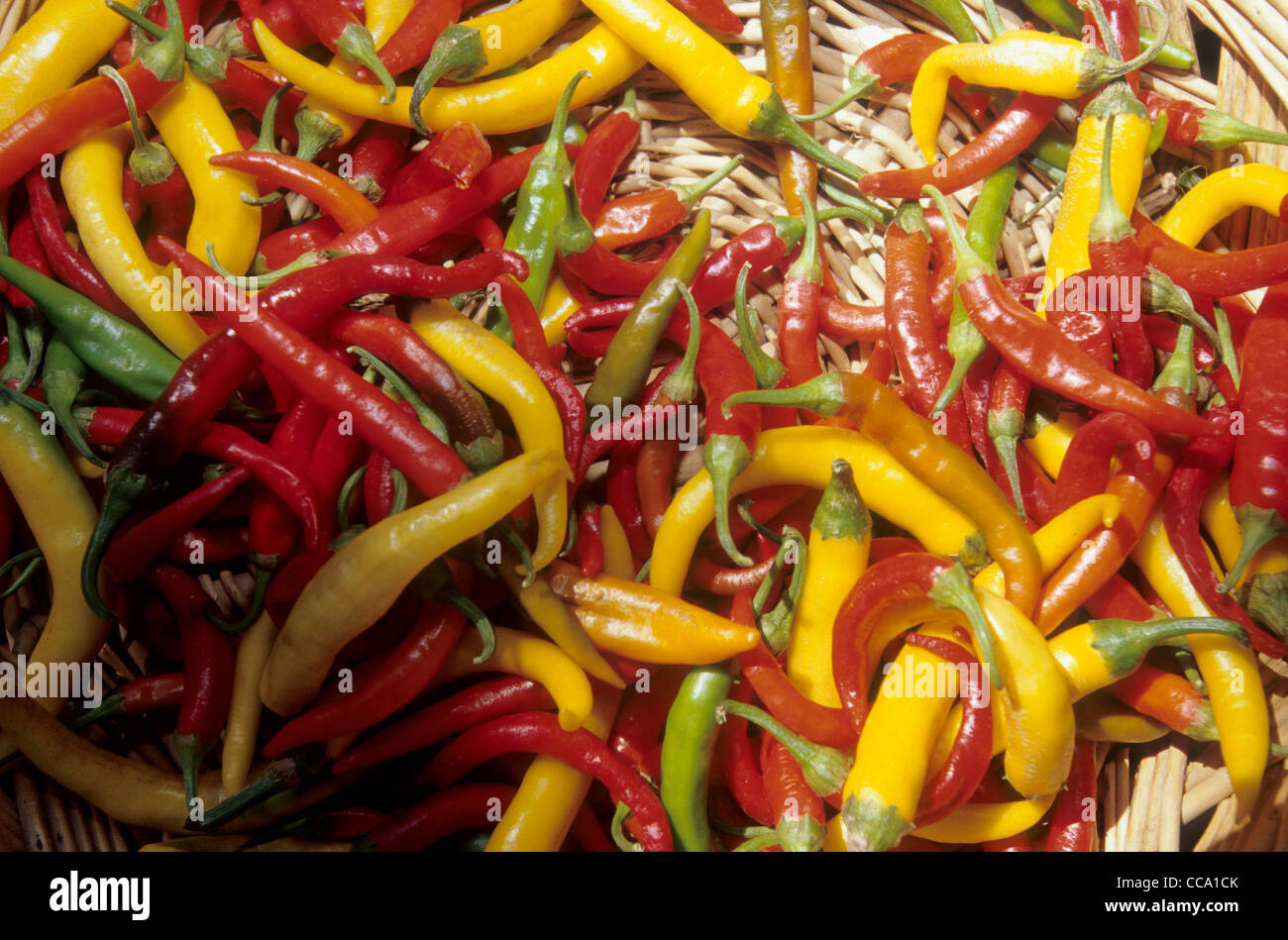 Assortment of chili peppers Stock Photo - Alamy