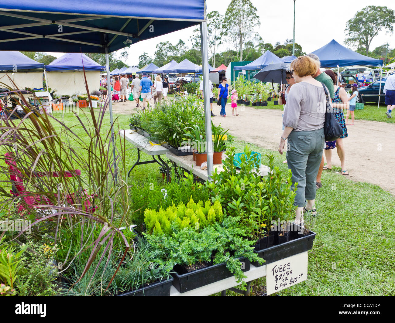 Plant stall at country produce market at Yandina, Sunshine Coast ...