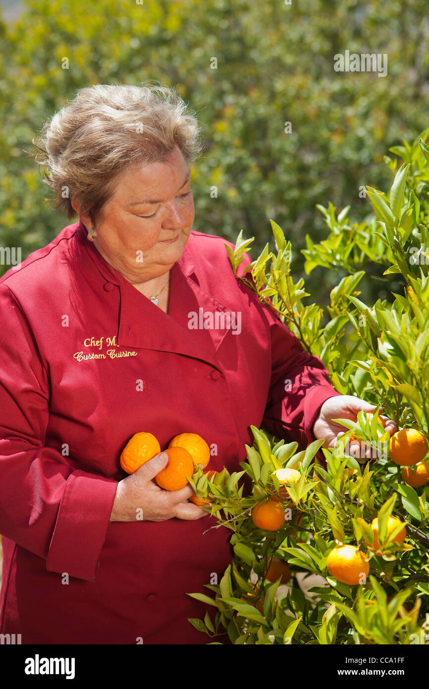 Mary curry hi-res stock photography and images - Alamy