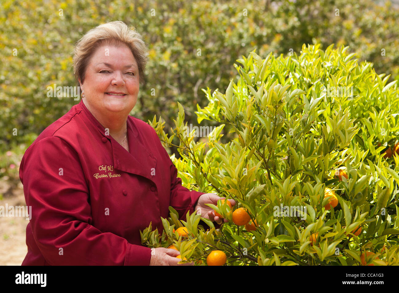 Mary curry hi-res stock photography and images - Alamy