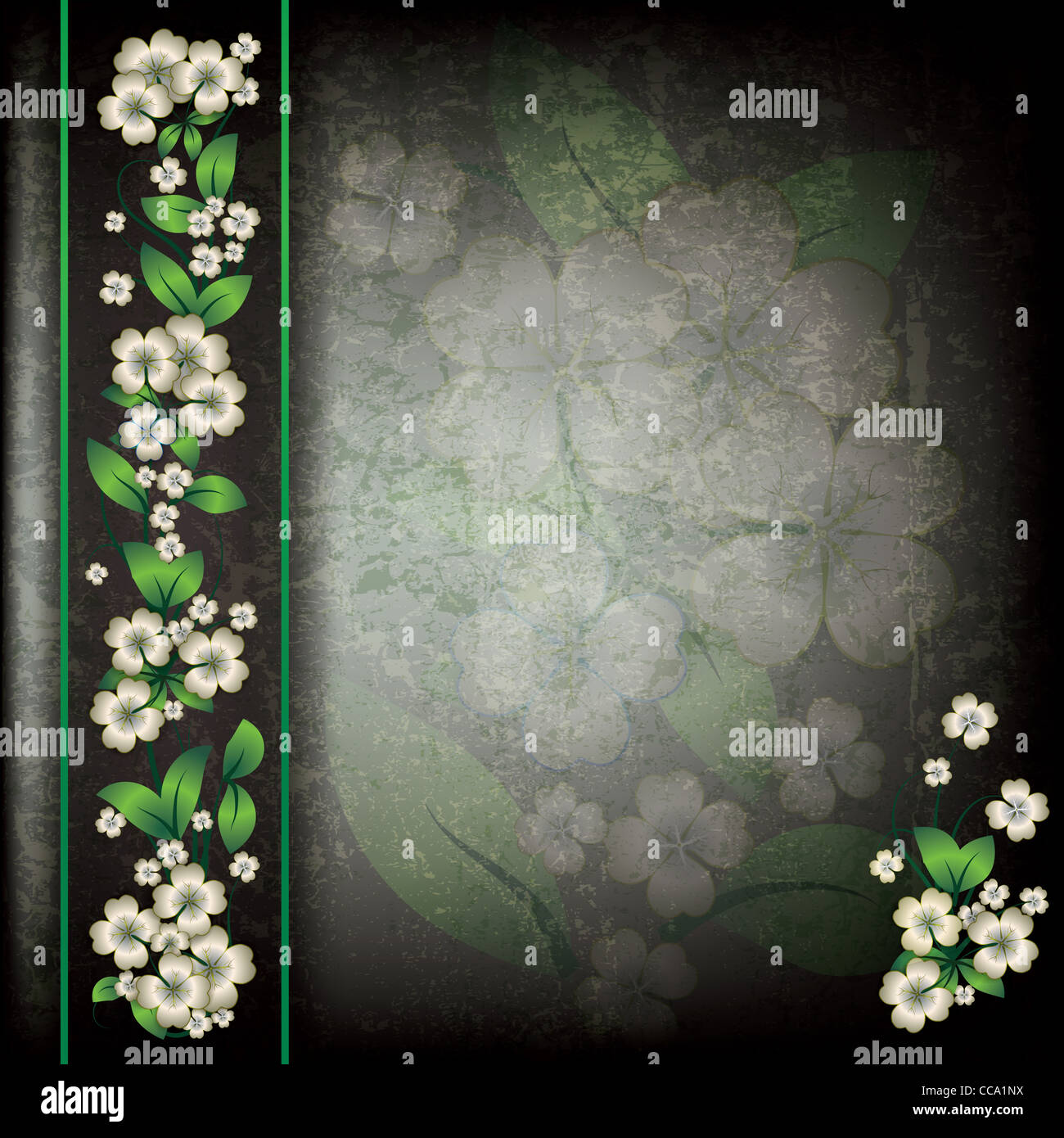 abstract black grunge background with white spring flowers Stock Photo ...