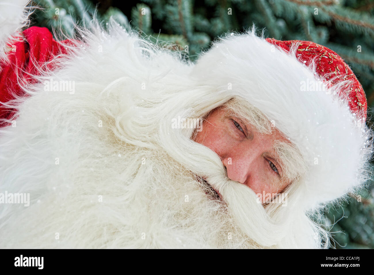 Portrait of Santa Claus standing with hand on chin outdoors at ...