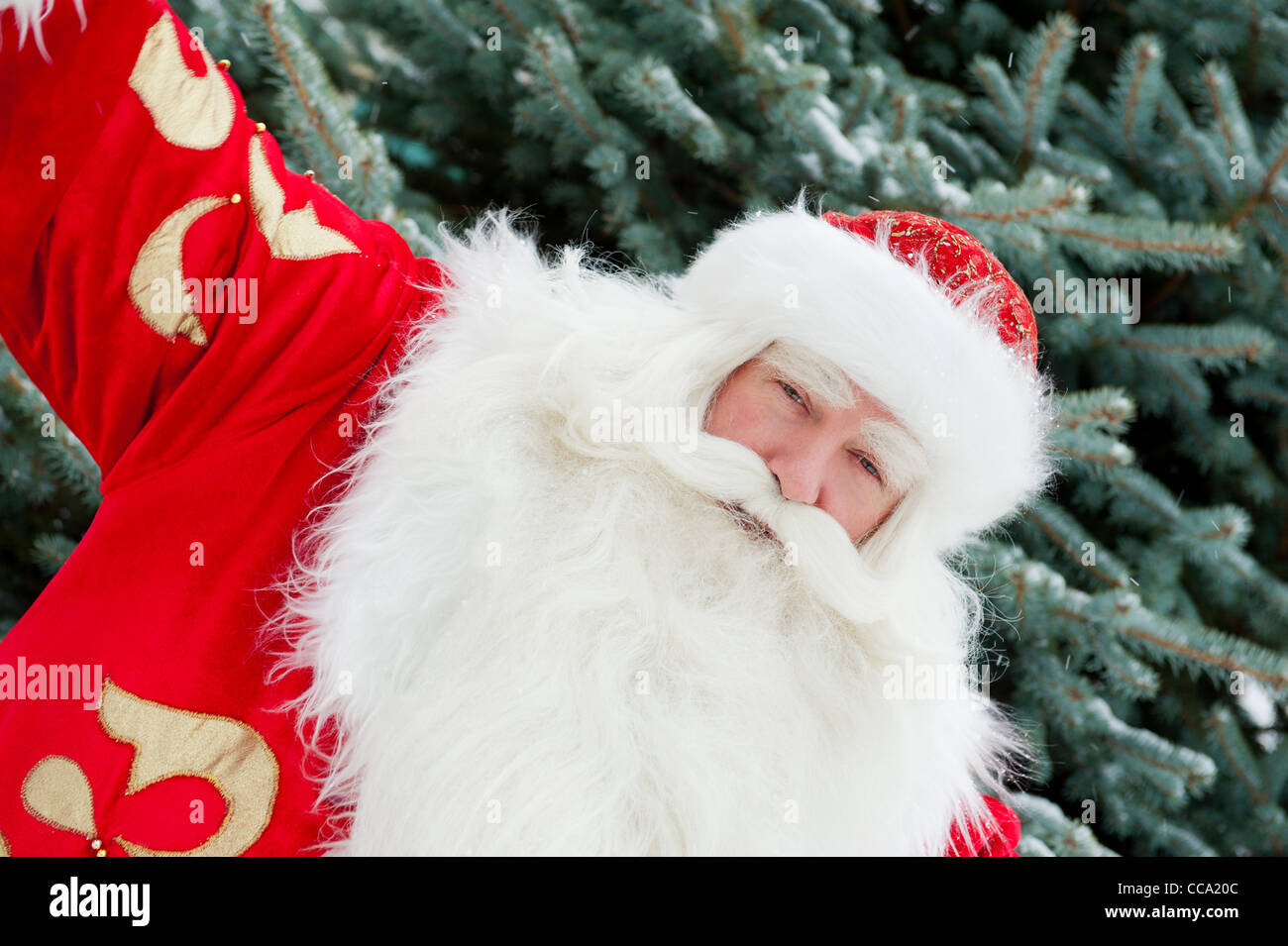 Portrait of natural Santa Claus standing at Christmas Tree outdoors in ...
