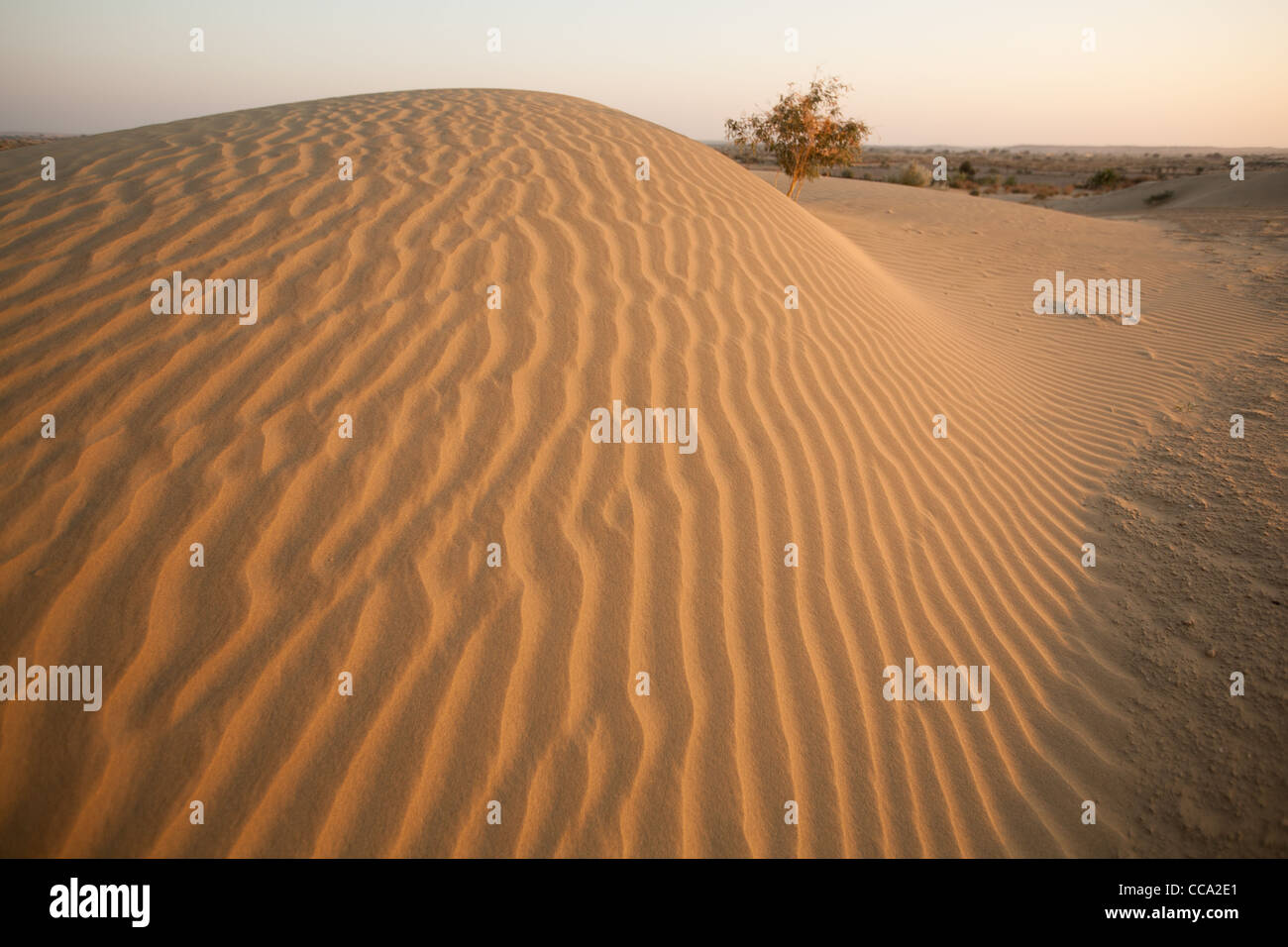 Sam Sand dunes of the Thar desert, near Jaisalmer, in Rajasthan, India ...