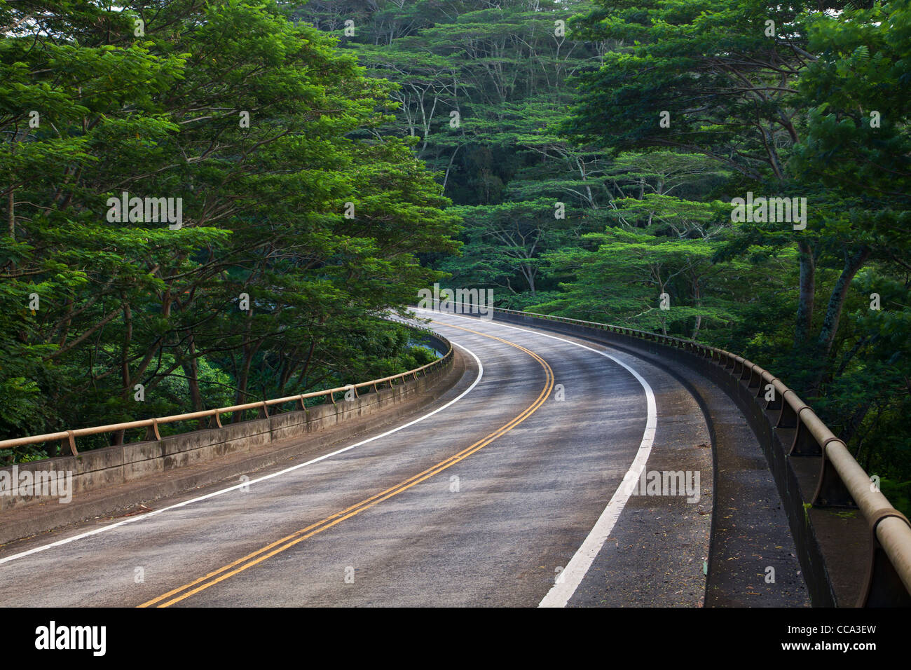 Kauai Hawaii Roads