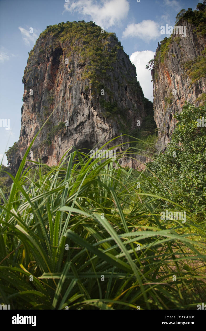 Andaman sea rock hi-res stock photography and images - Alamy