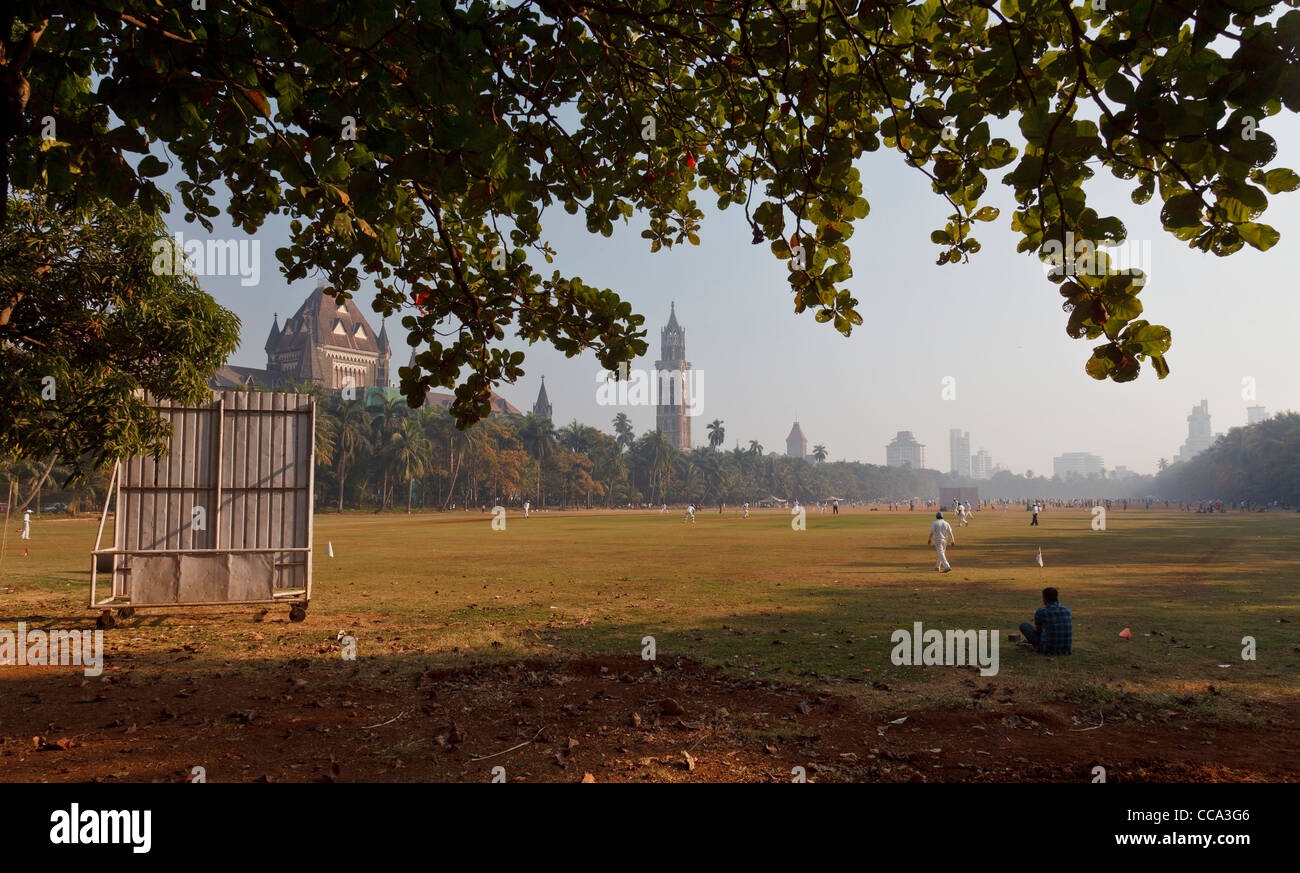 Playing Cricket in the Oval Maidan, Mumbai, Bombay, India Stock Photo ...
