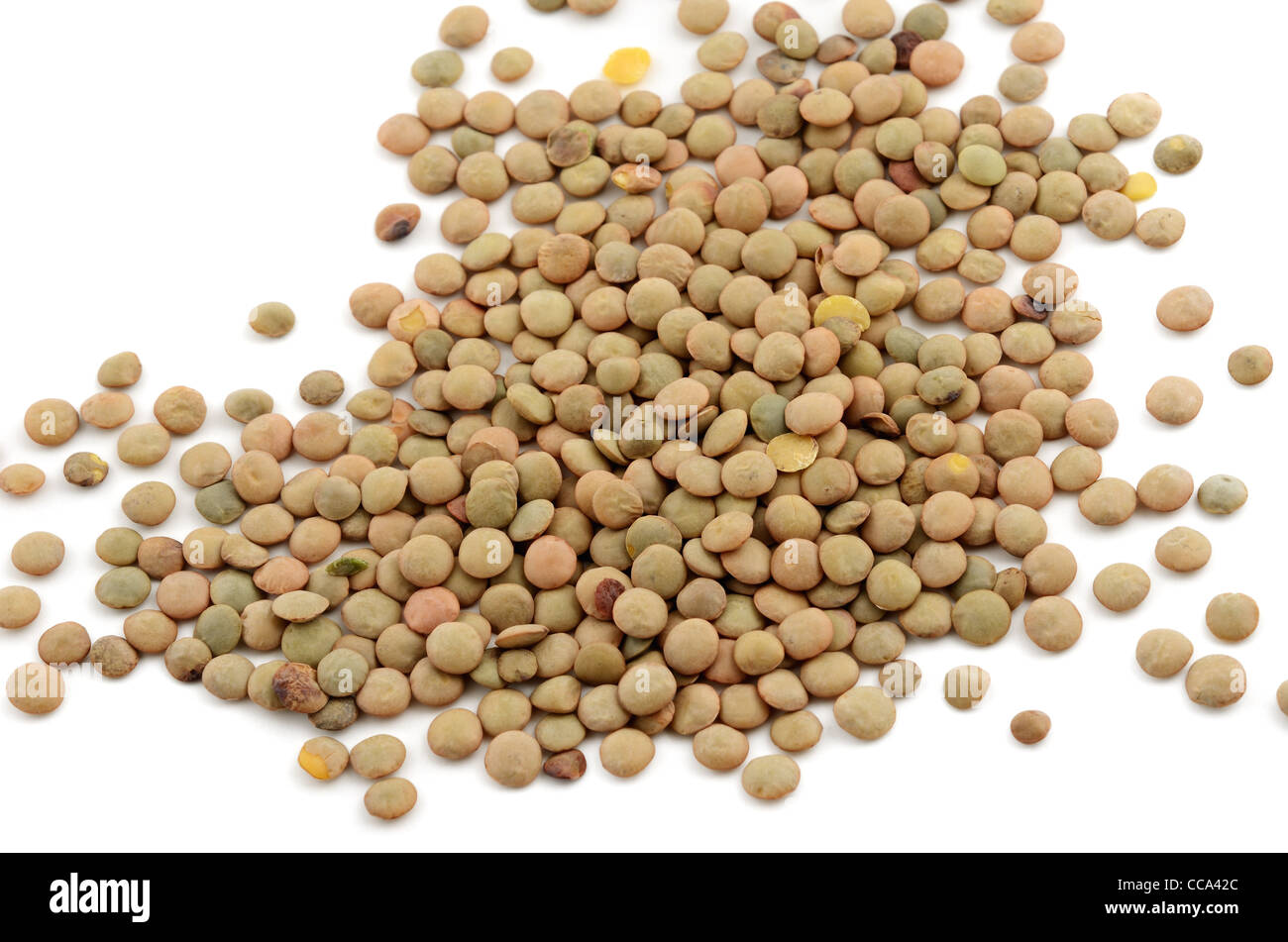 Lentils field hi-res stock photography and images - Alamy