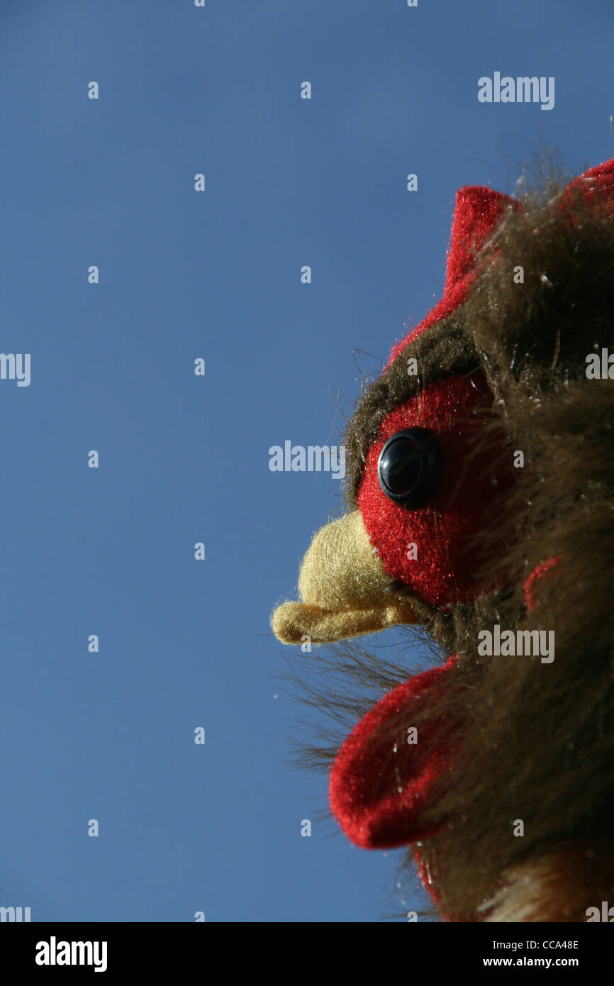 one small hen soft toy and blue sky Stock Photo - Alamy