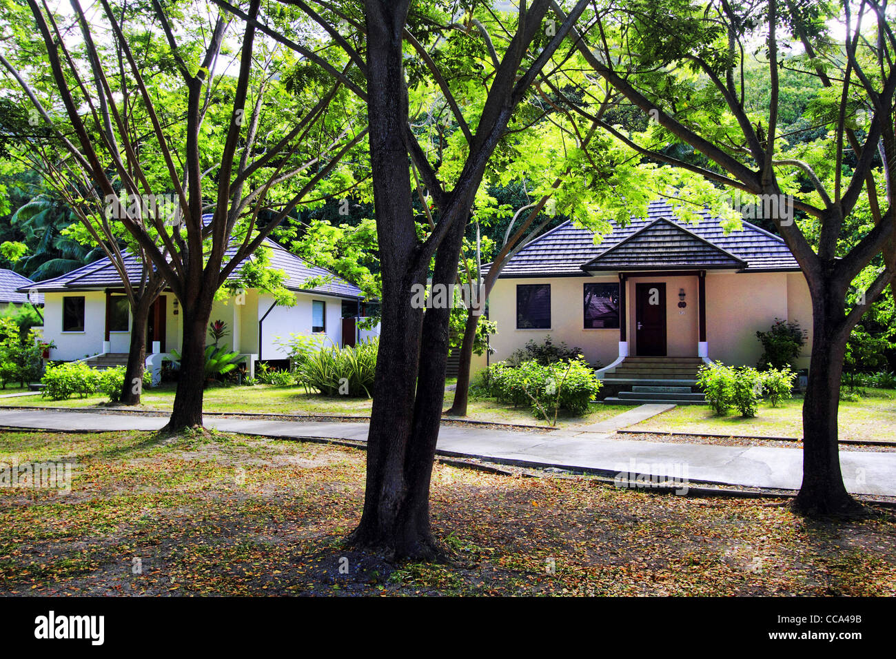 Houses under trees Stock Photo - Alamy