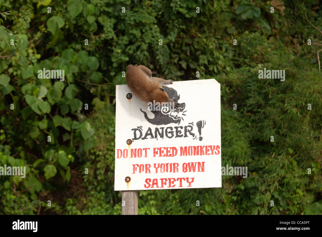 Perched on warning sign hi-res stock photography and images - Alamy