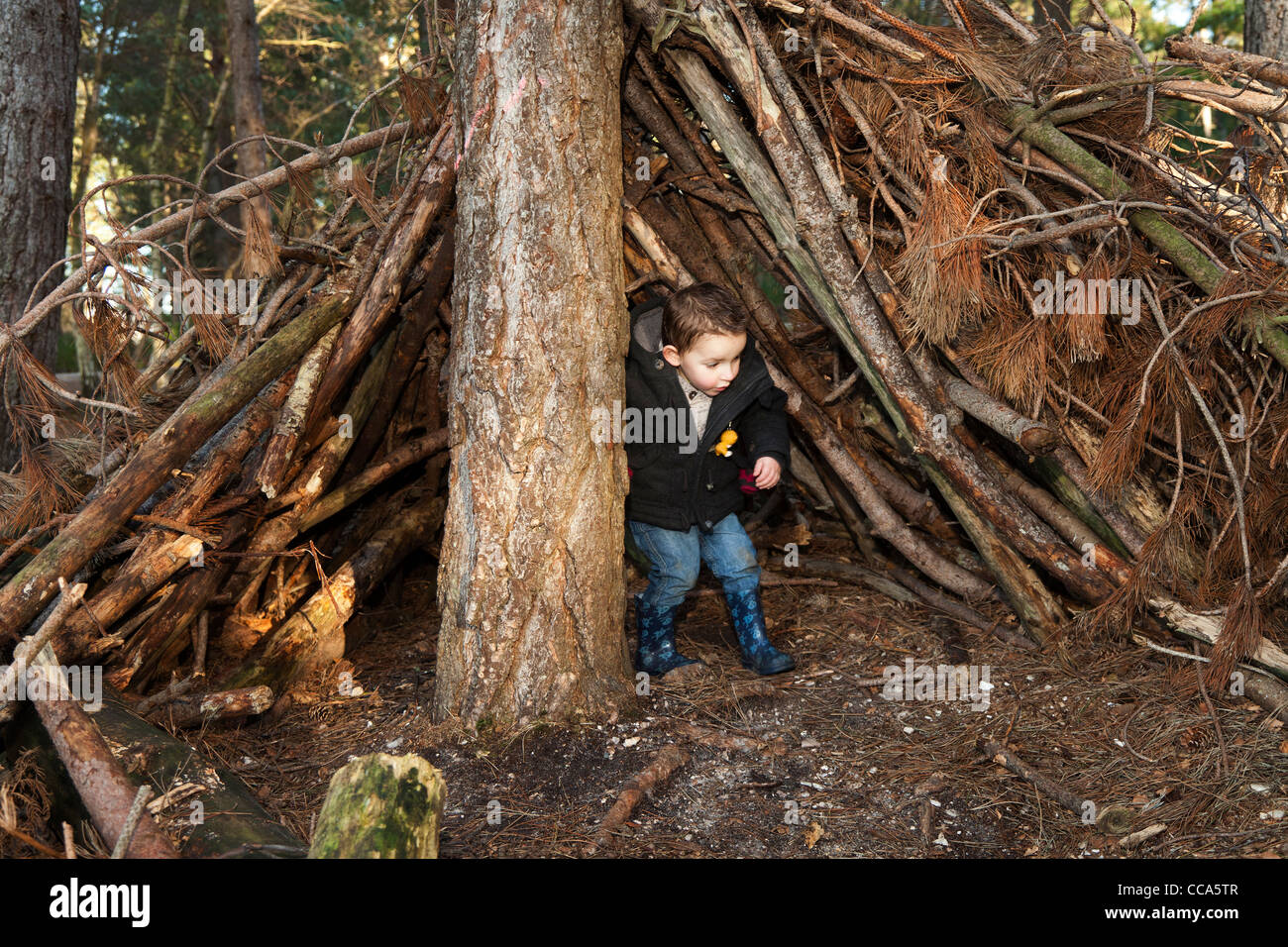 Young boy playing in a hide-away camp den made from branches, sticks ...