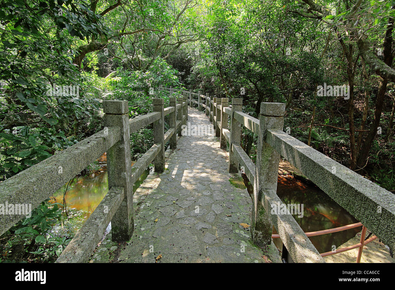 Bridge in the forest Stock Photo - Alamy