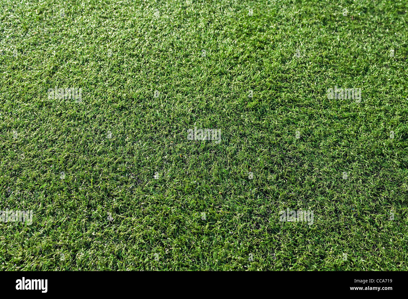 Close up of astro turf Stock Photo - Alamy