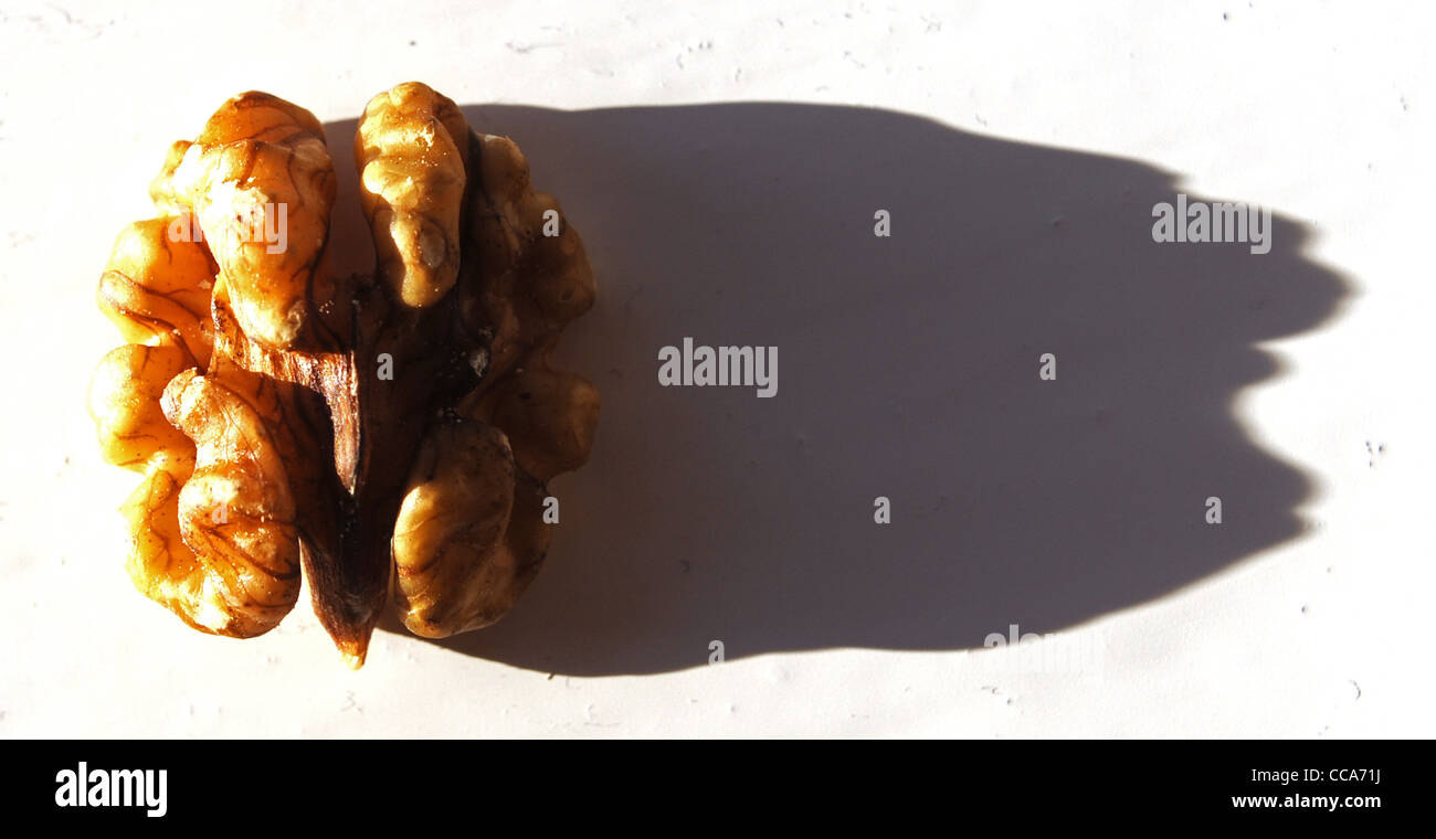 Walnut eating hi-res stock photography and images - Alamy