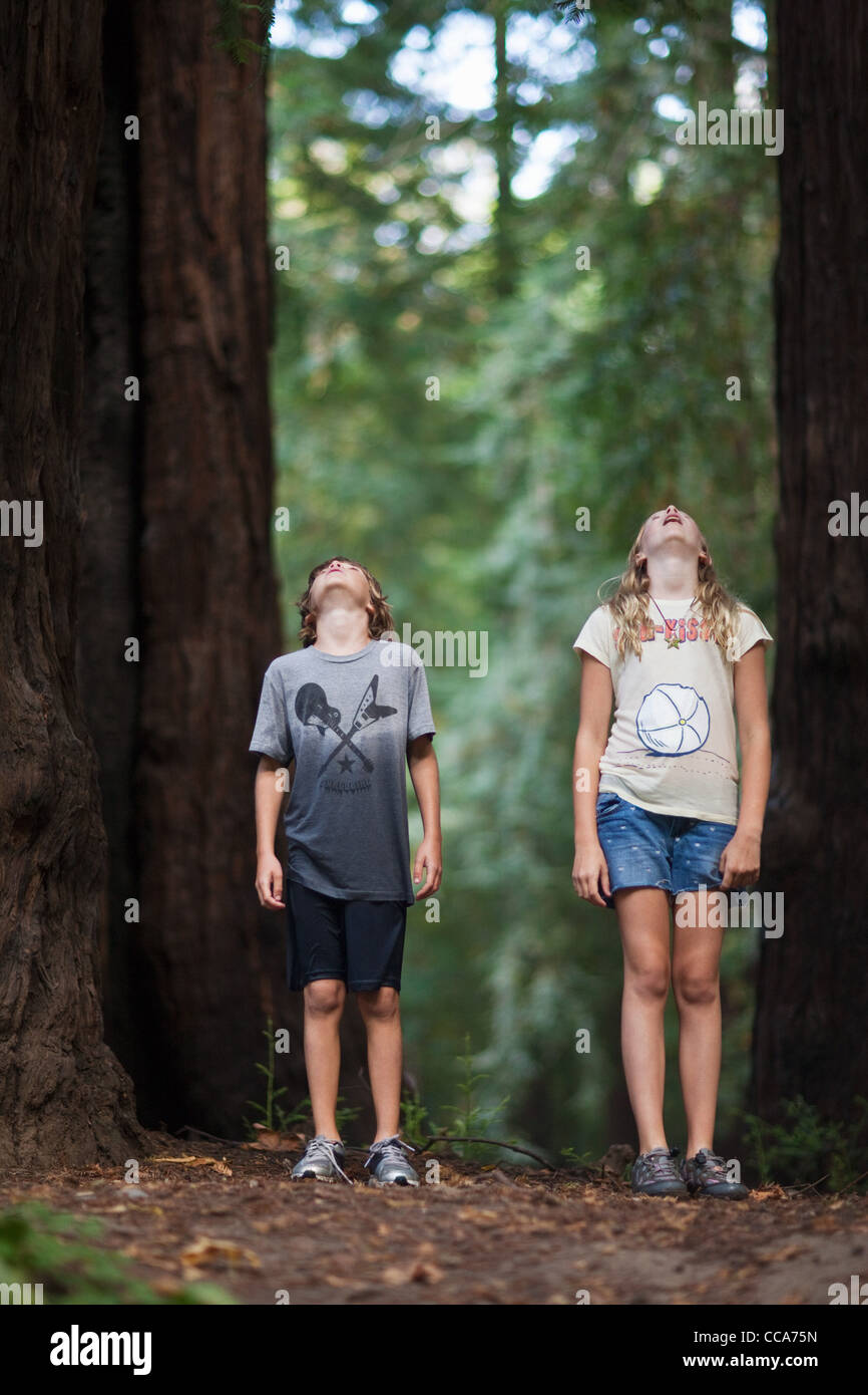 Two children looking up at a tree in awe Stock Photo - Alamy