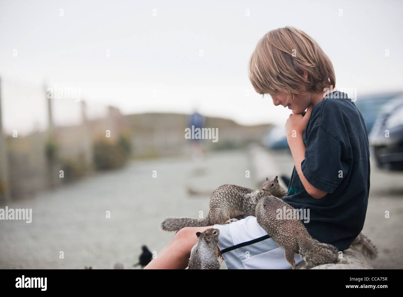 Boy with squirrel hi-res stock photography and images - Alamy