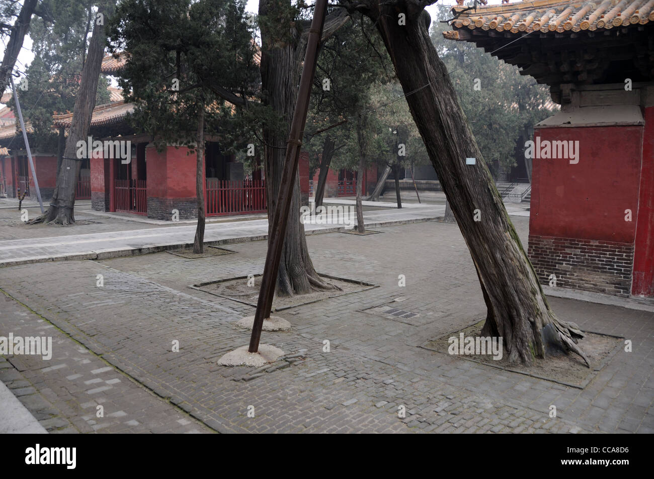 Trees and buildings at UNESCO world heritage site Stock Photo - Alamy