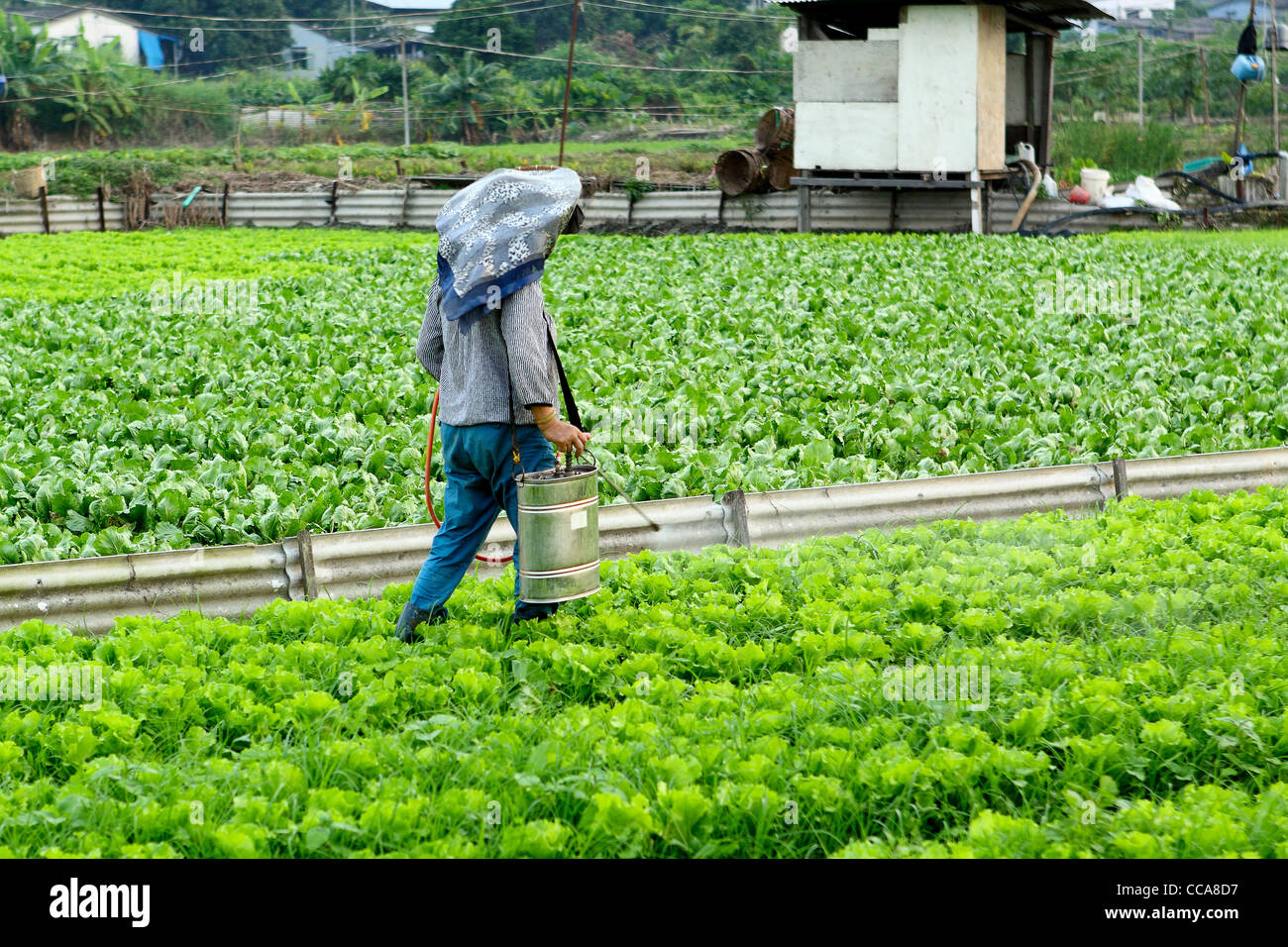 Farmer spraying weeds hi-res stock photography and images - Alamy