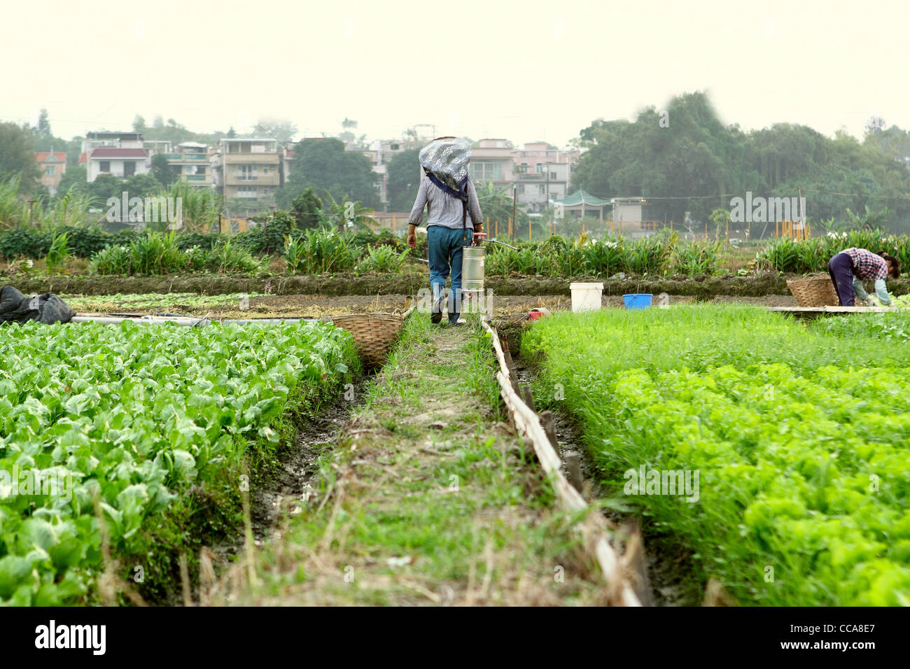 farmer working in cultivated land Stock Photo - Alamy