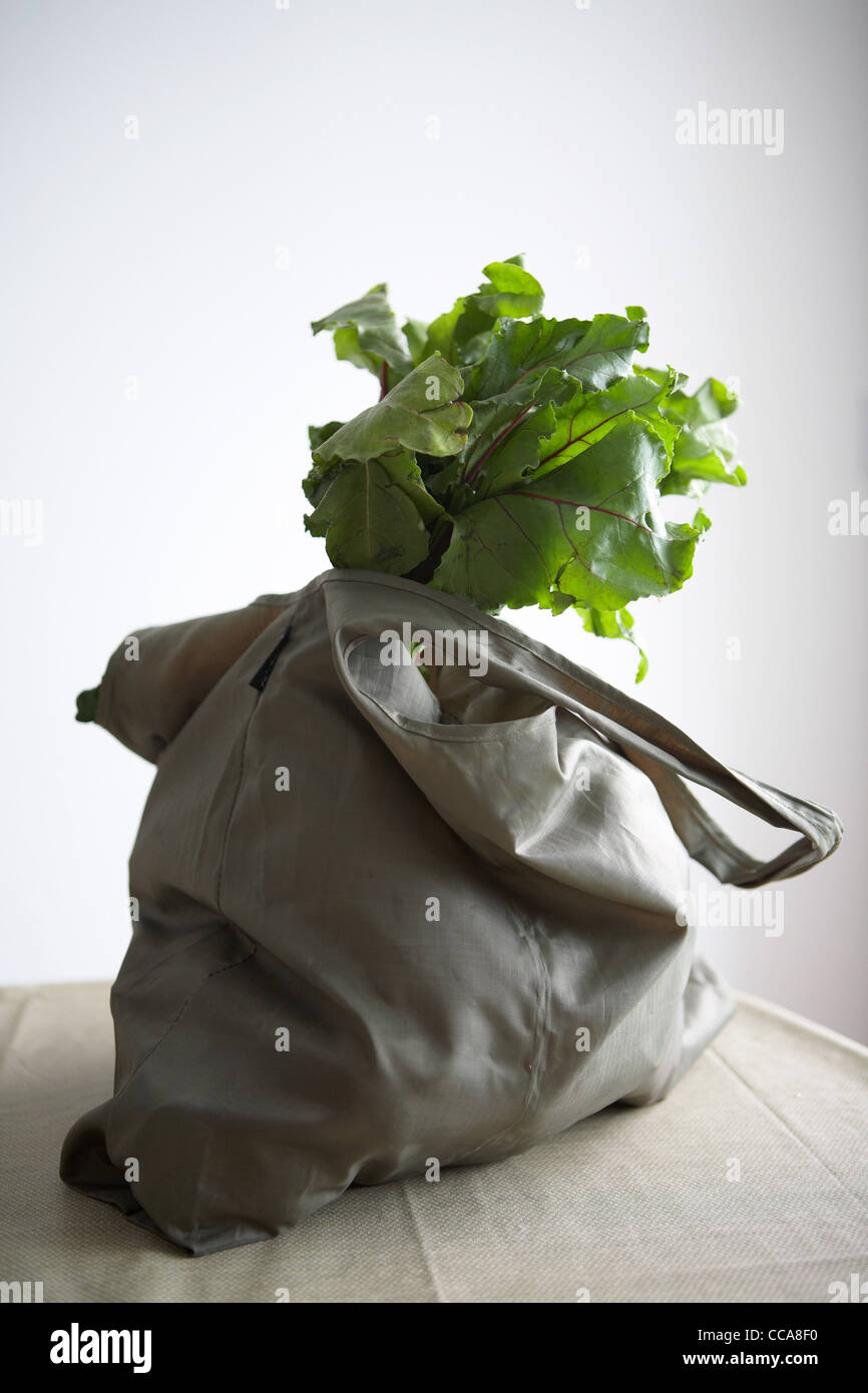 Sack of fresh leafy vegetables, studio shot Stock Photo - Alamy