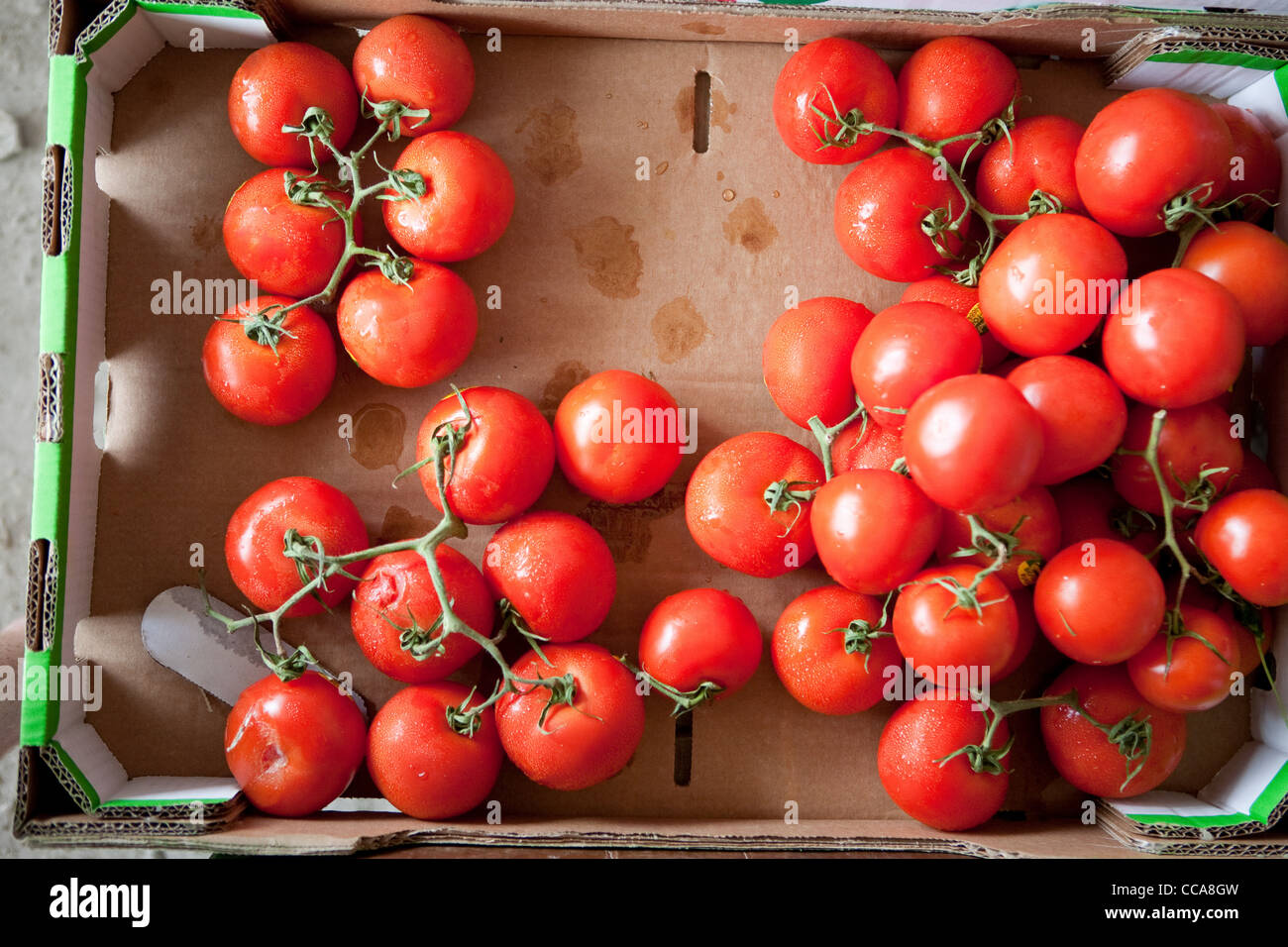 Overhead view of ripe tomatoes Stock Photo - Alamy