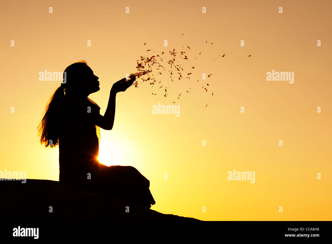 Petals Blowing In The Wind