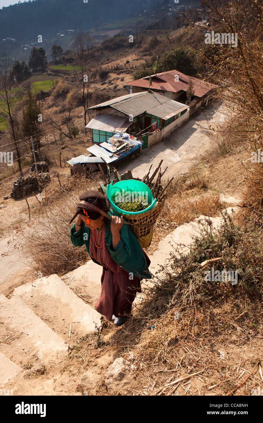 Woman Carrying Heavy Load
